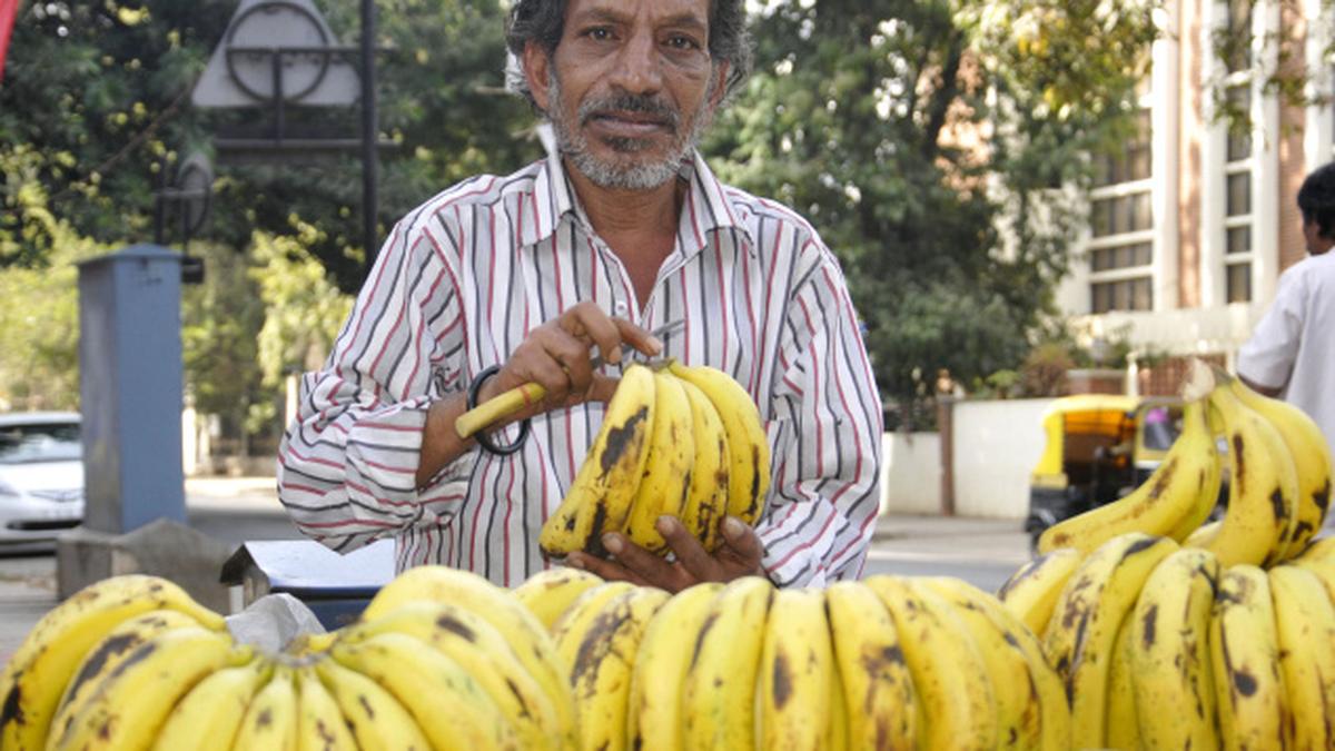 I am... Amjad Subhan, Banana merchant - The Hindu