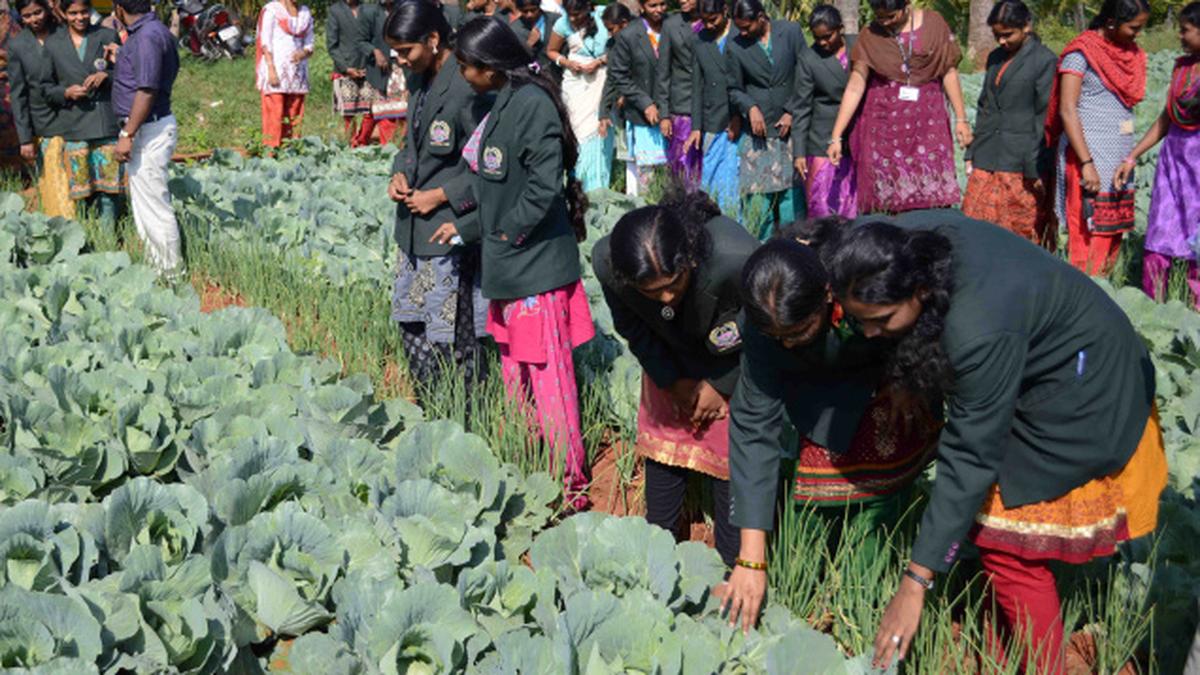 For the student-farmer connect - The Hindu