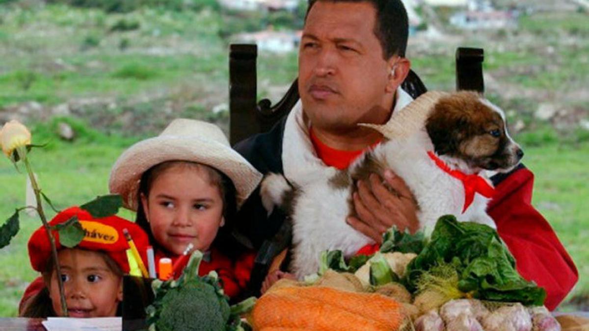 Venezuela's national dog keeps Chavez legacy alive - The Hindu