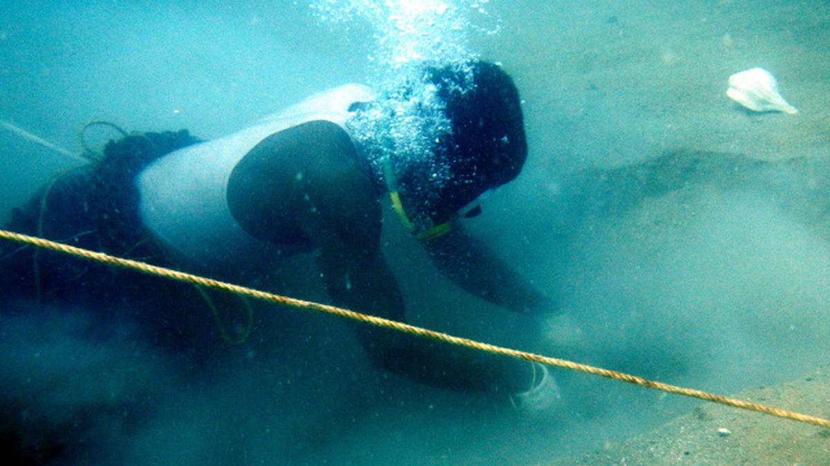 Conch divers to learn safe diving methods - The Hindu