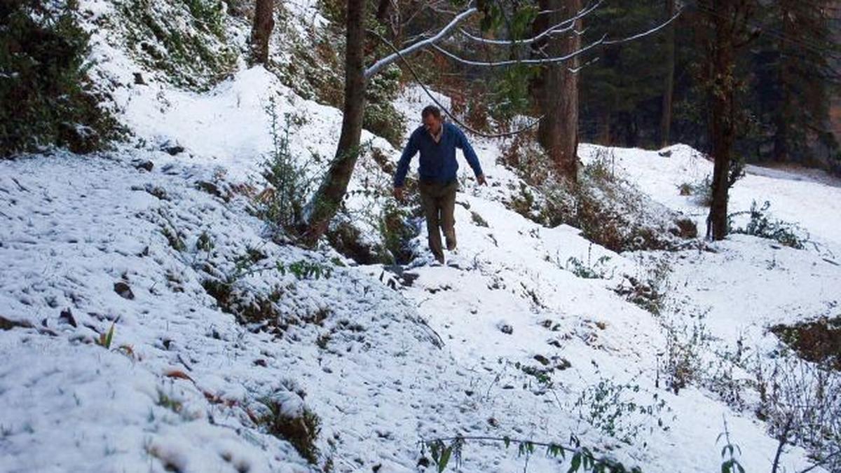 Rain, snow throws life out of gear in Uttarakhand - The Hindu