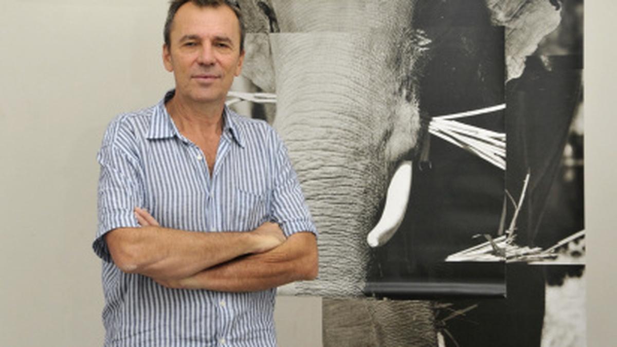 In the eye of an elephant - The Hindu