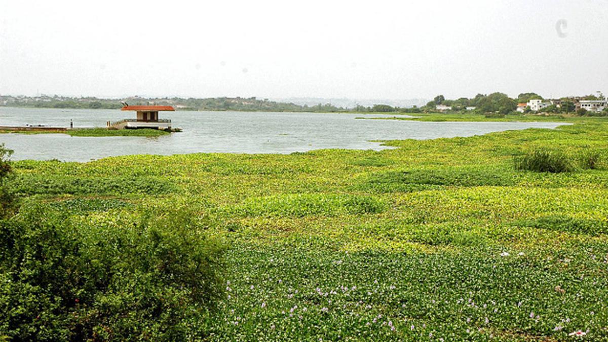 GHMC plans beautification of Mir Alam Tank soon - The Hindu