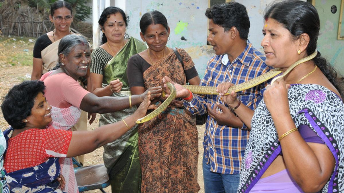 Women snake catchers unleash their charm - The Hindu