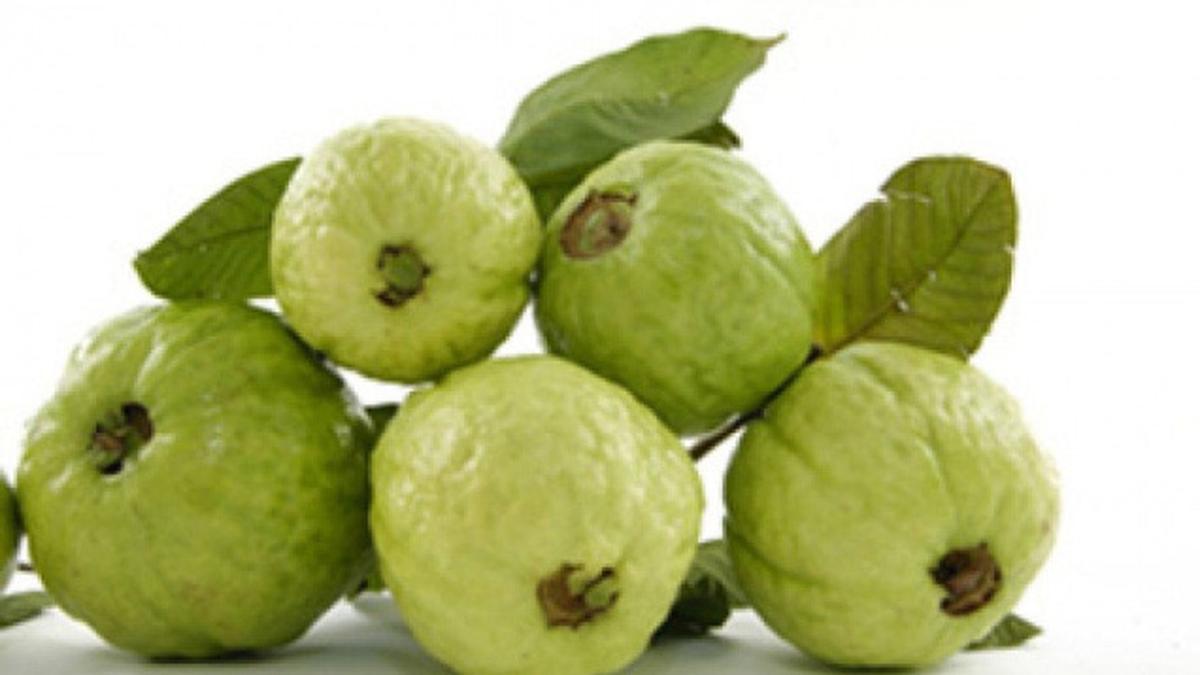 Relish this super-fruit! - The Hindu