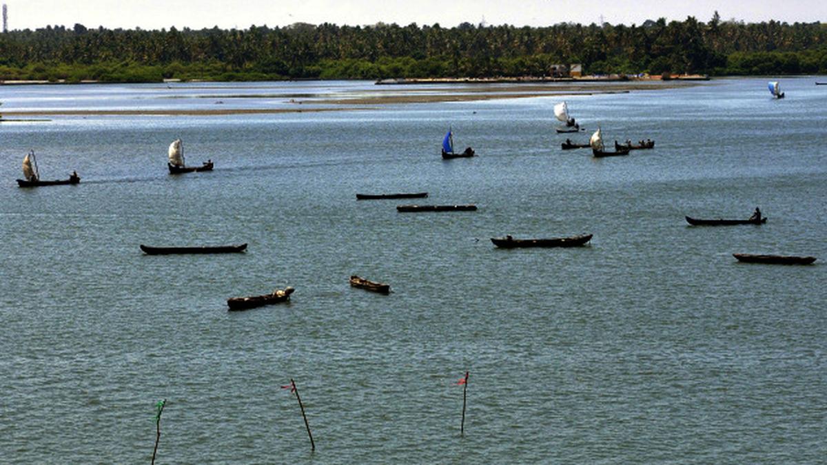 Annual clam harvest ban comes into force in Kerala - The Hindu