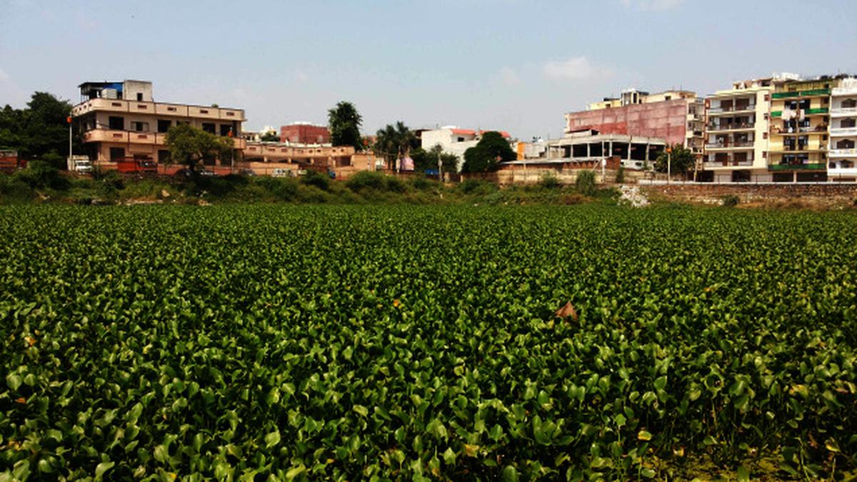 Shamsi Talab undergoes restoration - The Hindu