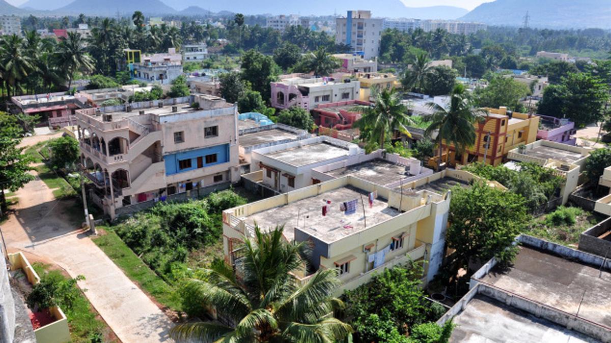 Away from the madding crowd - The Hindu