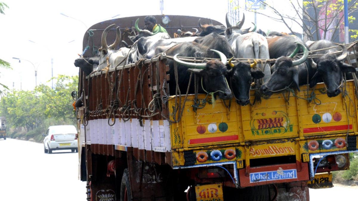 Help for cattle class travellers - The Hindu