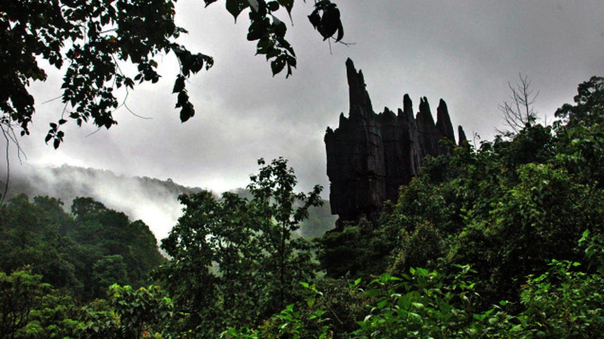 ‘Uttara Kannada lost 3,383 sq. km of forest cover in 37 years’ - The Hindu