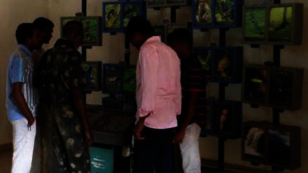 Information for tourists at Anamalai Reserve - The Hindu