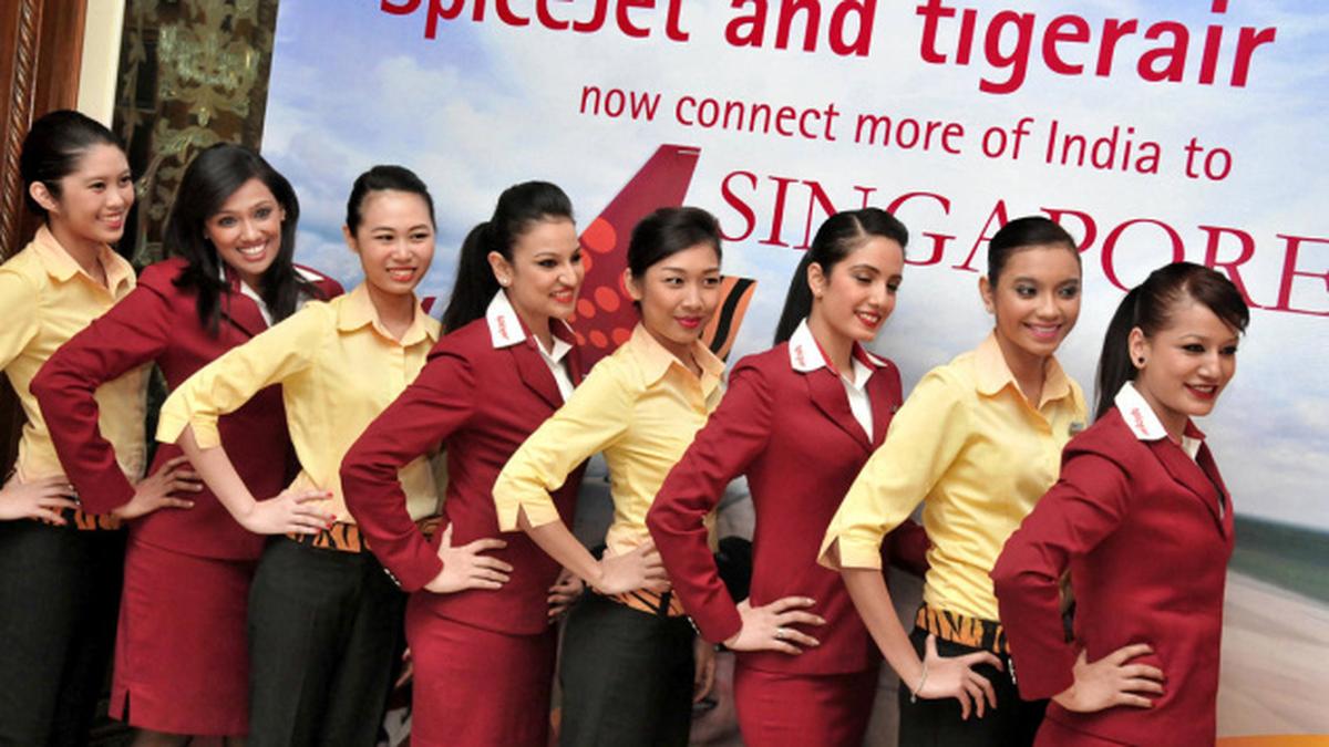 SpiceJet, Tiger ink inter-line pact - The Hindu