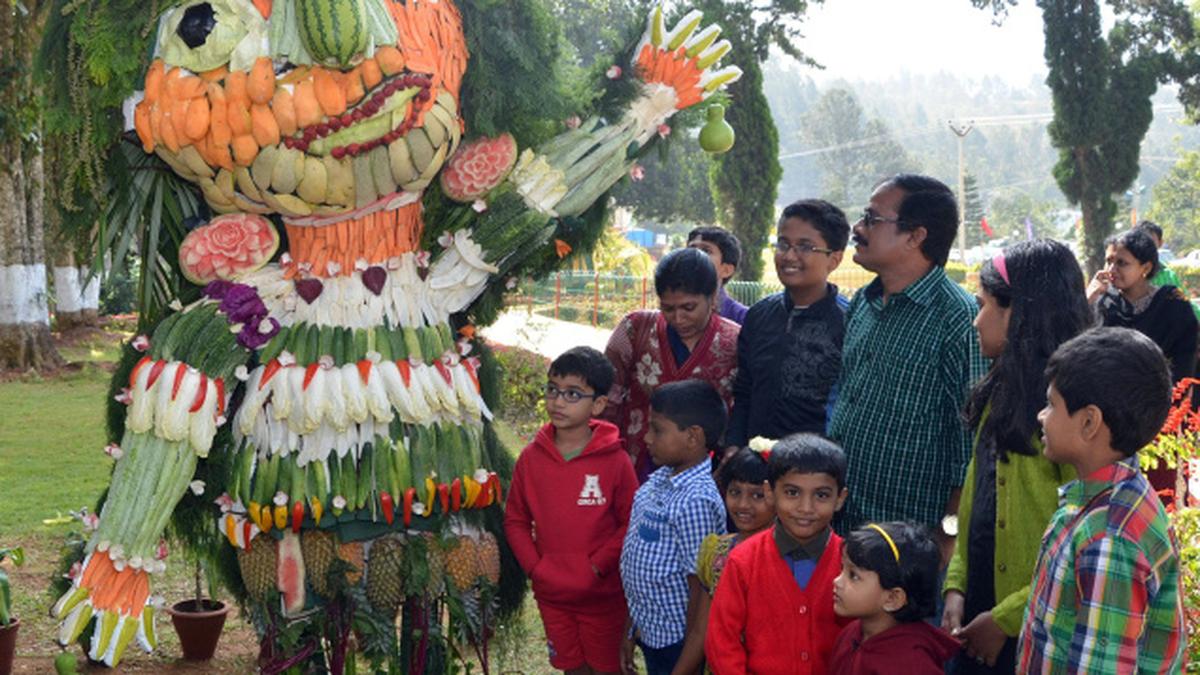 Flower Festival begins at Yercaud - The Hindu