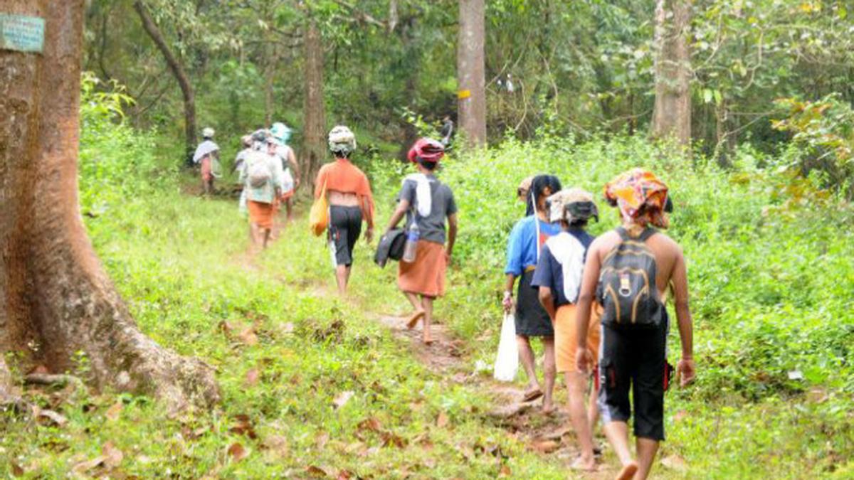 Sabarimala temple to open for Makarvilakku on Monday - The Hindu