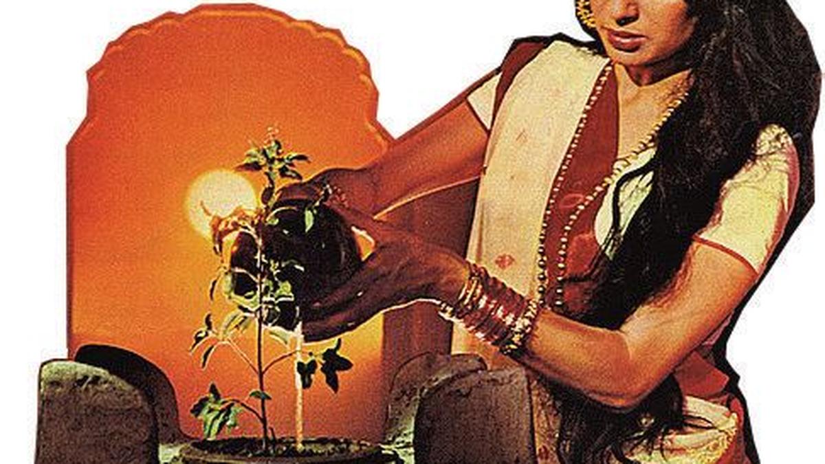 Enchanted Geography #15: The Tulsi In My Own Courtyard - The Hindu