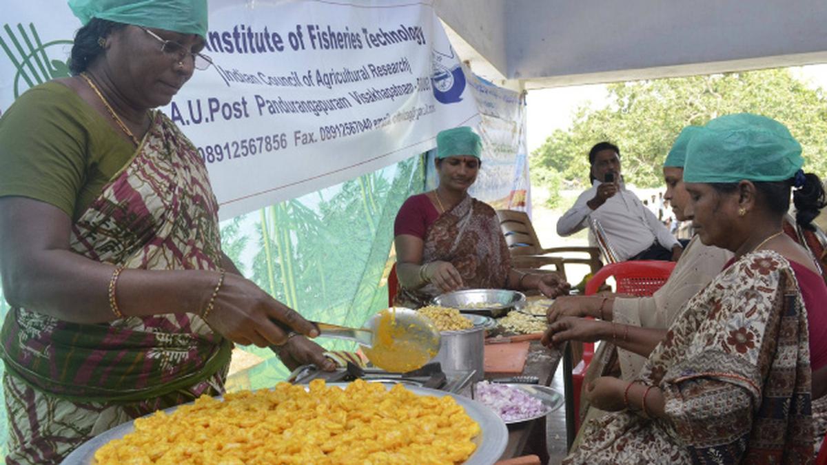 Kothapalem fishermen exploring new avenues - The Hindu
