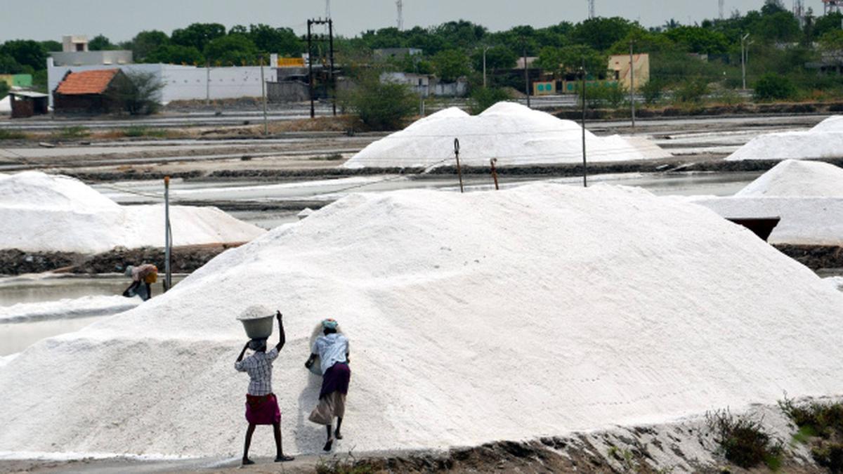 West Bengal has sufficient stock of salt: Minister - The Hindu