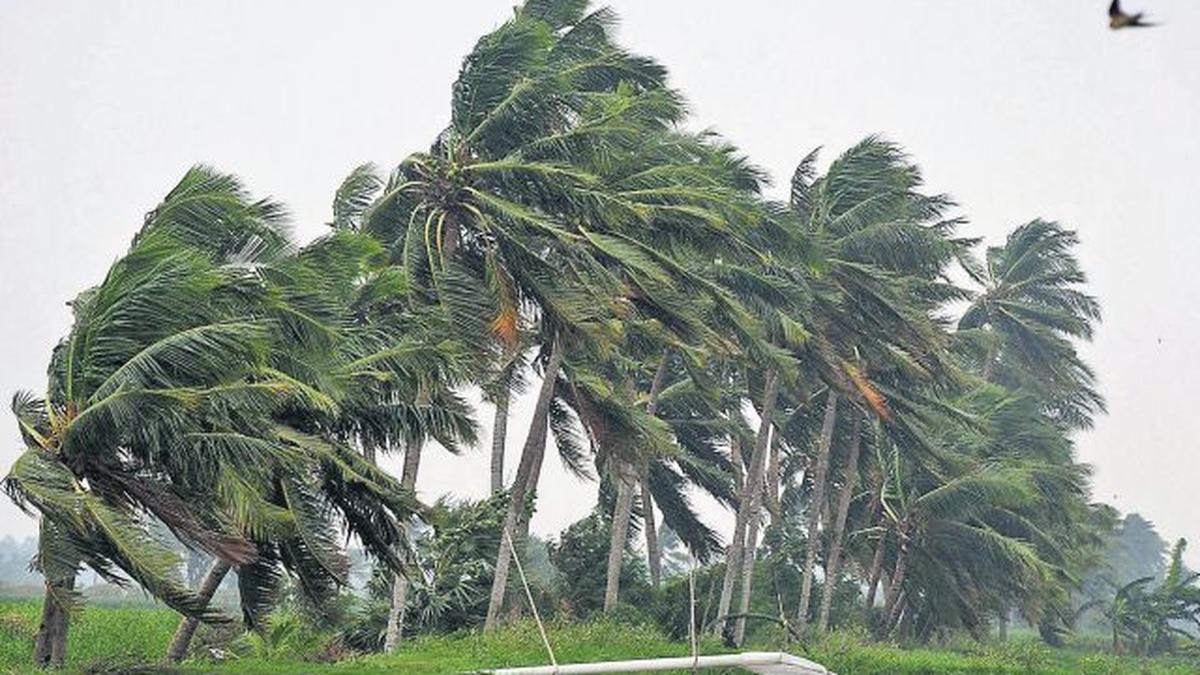 Relief as cyclone ‘Lehar’ fizzles out - The Hindu