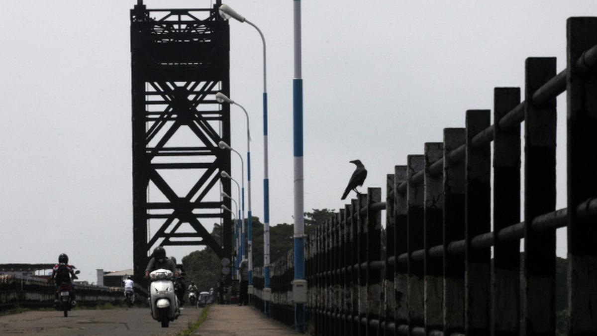 Bridges to the past, present picture of neglect - The Hindu