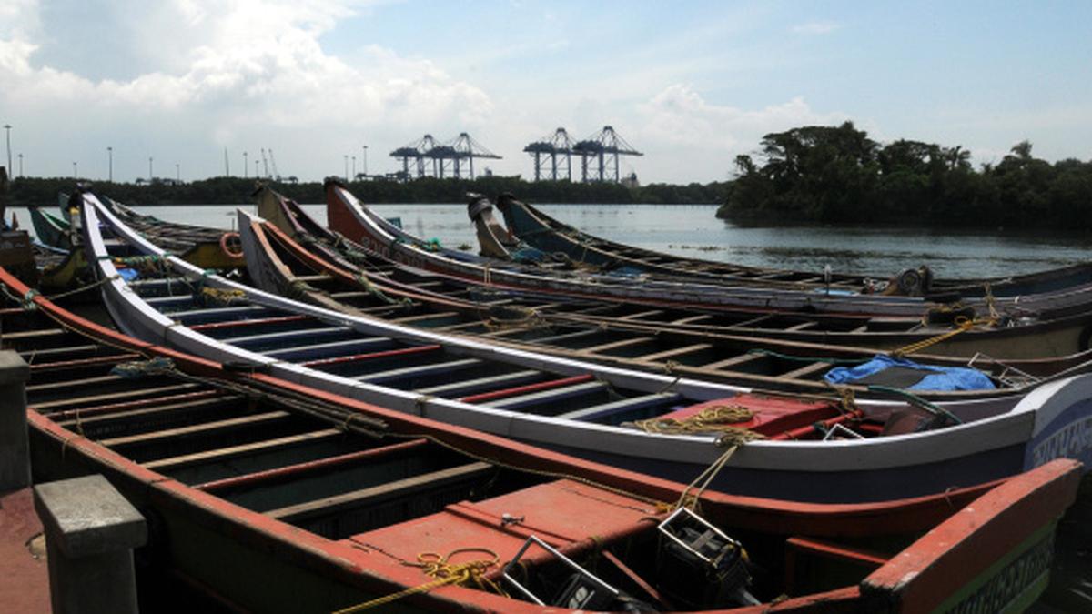 Matsyafed to enter troubled waters to end fish price wars - The Hindu