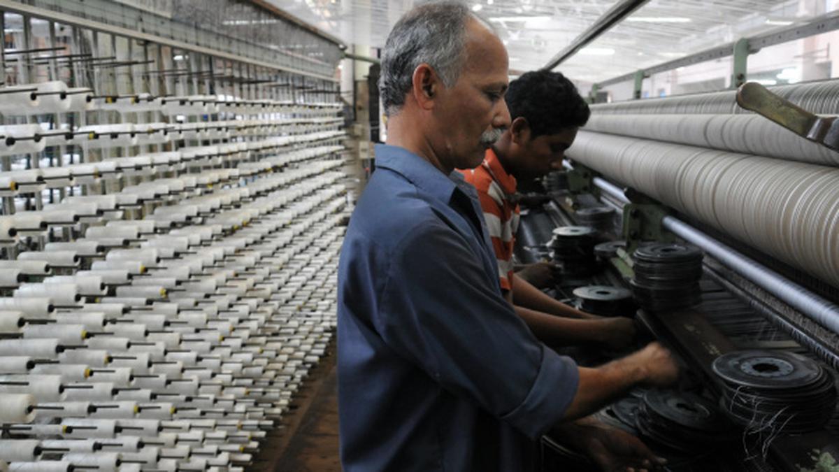 Lean, mean and profitable, that’s Matsyafed units - The Hindu