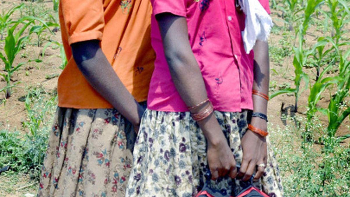 After rescue, rehabilitation of child workers in focus - The Hindu