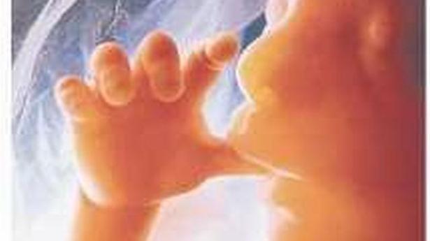 Foetuses learn, memorise words - The Hindu