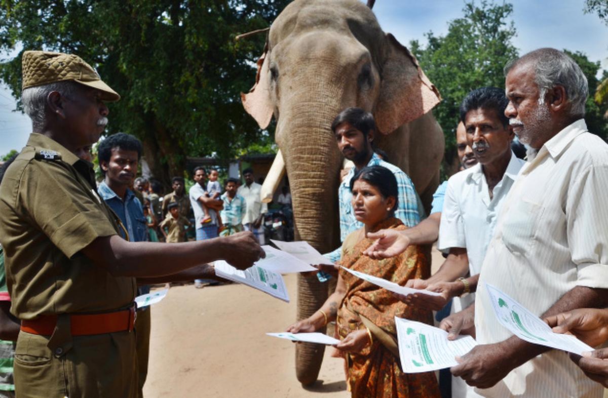 Kumkis deployed to prevent entry of wild elephant into human habitation - The Hindu