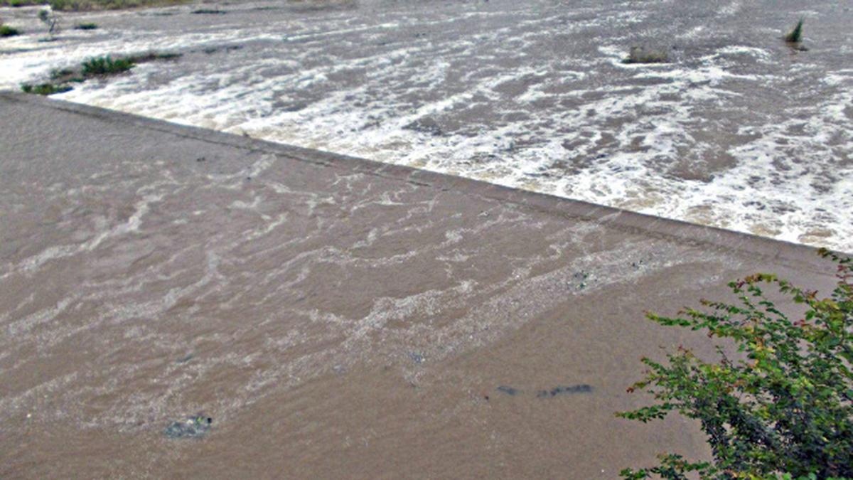 Shimsha river sees water after three years - The Hindu