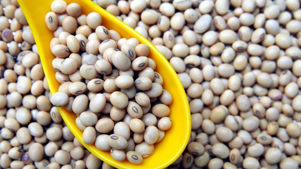 TH10 MEHUL MALPANI M.P. Cabinet increases MSP for soya bean; proposal ...