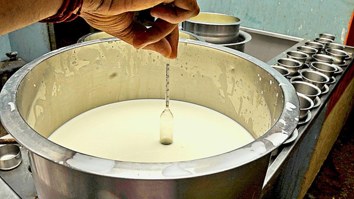 High milk intake tied to increased mortality risk - The Hindu