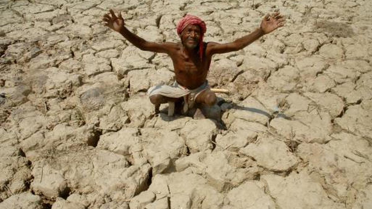 33 districts in Bihar declared drought-hit - The Hindu