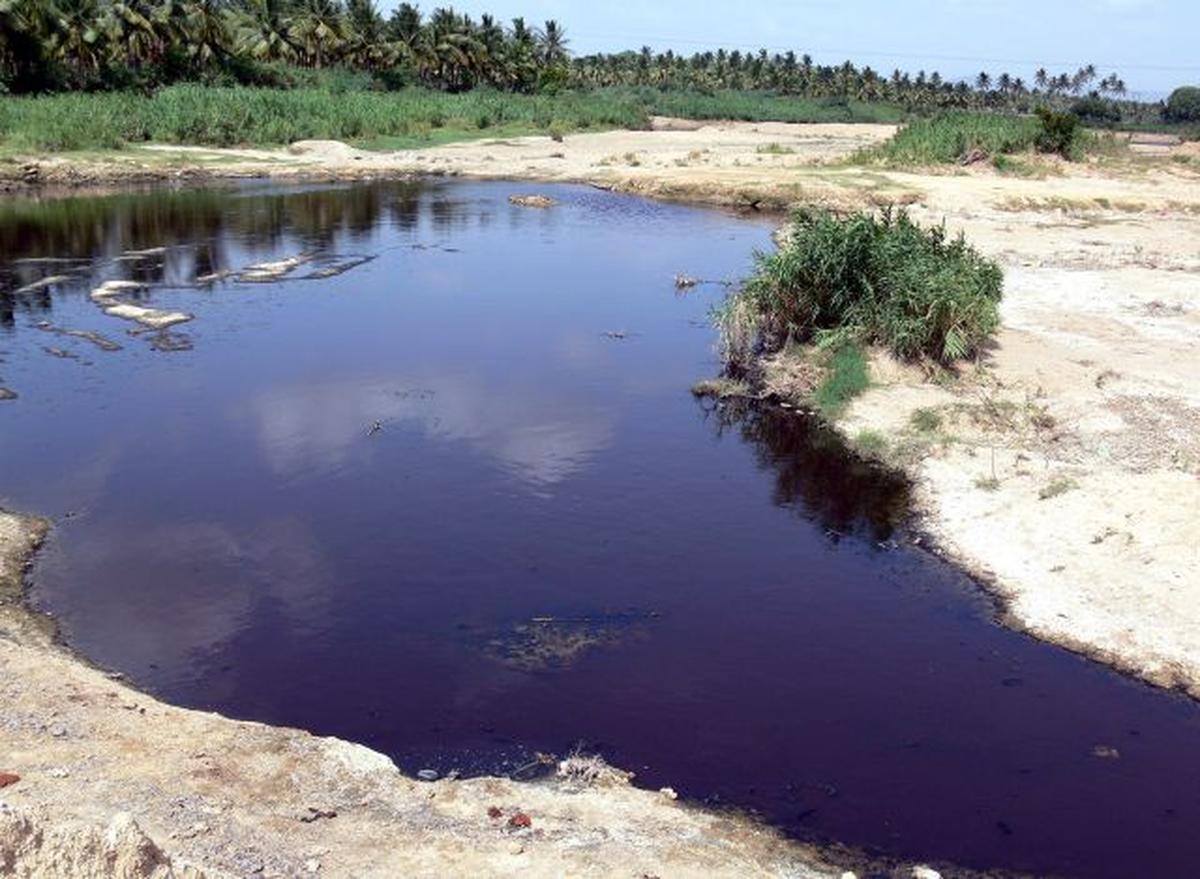 Reversal of ecology in Palar basin a non-starter - The Hindu