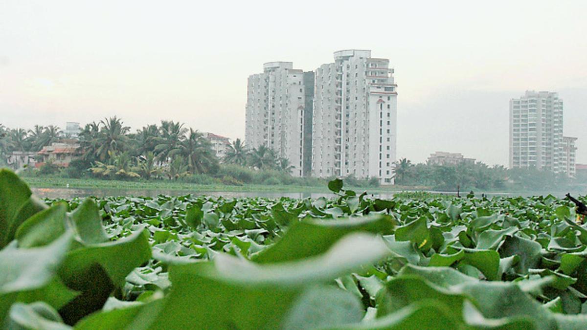 After Maradu, Kerala to conduct survey to map all CRZ violations in ...