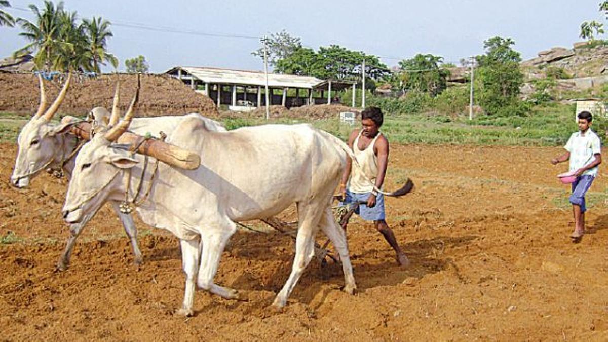 Folklore varsity to document indigenous farming methods - The Hindu