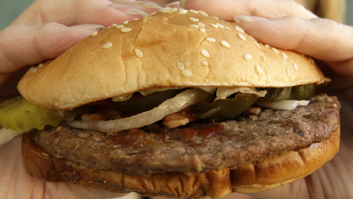 Scientists to serve lab-made burger from cow cells - The Hindu