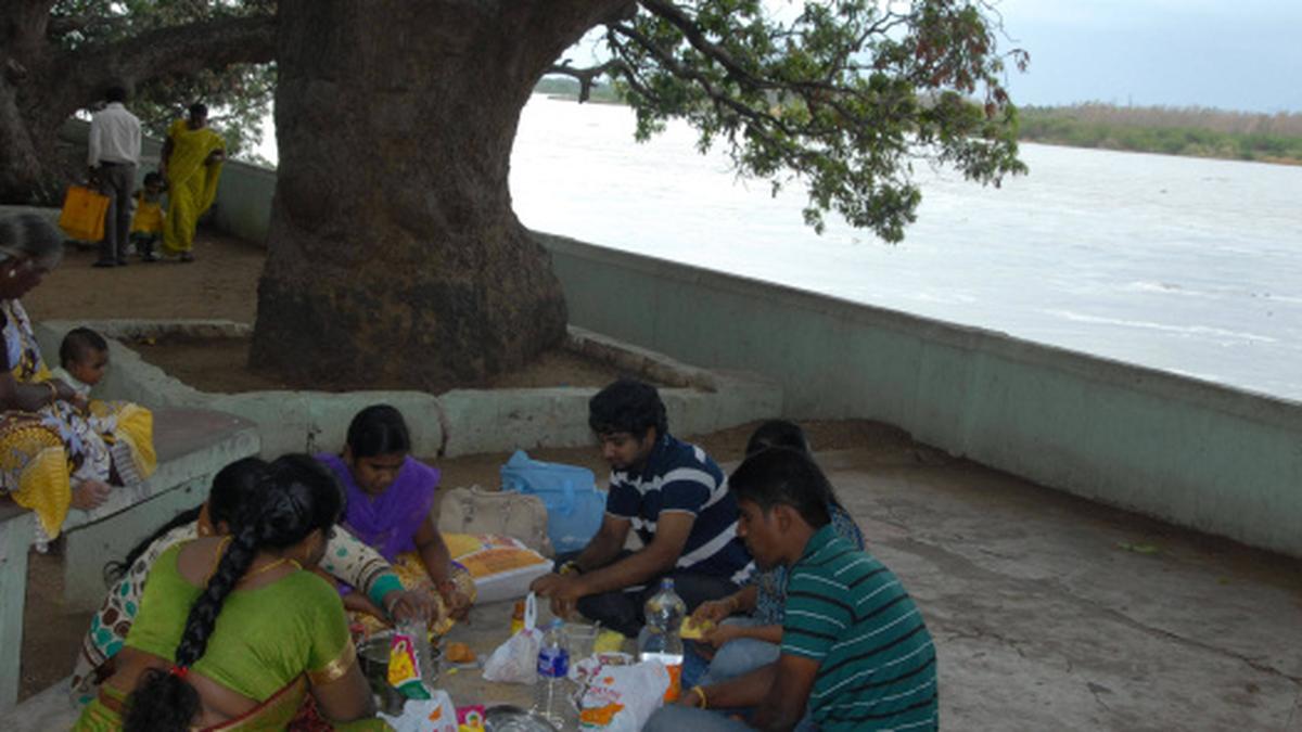 Mukkombu dam in Tiruchi turns into a picnic spot - The Hindu