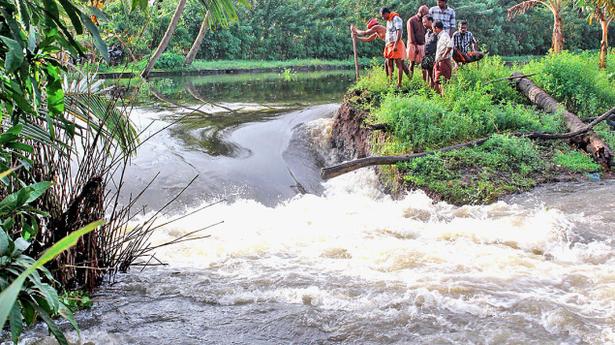 Fear of fresh flood onslaught on homes in Kuttanad - The Hindu