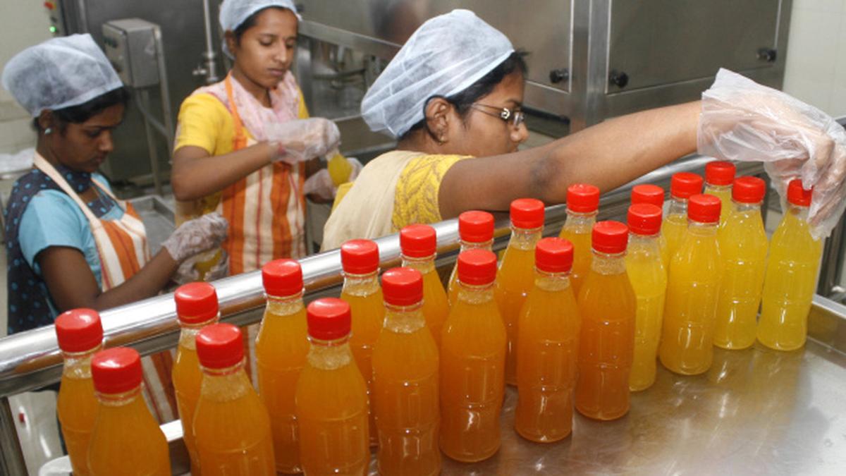 Food centre to help entrepreneurs - The Hindu