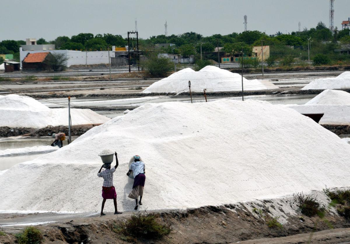 Hike duty drawback for salt export: Tuticorin traders - The Hindu
