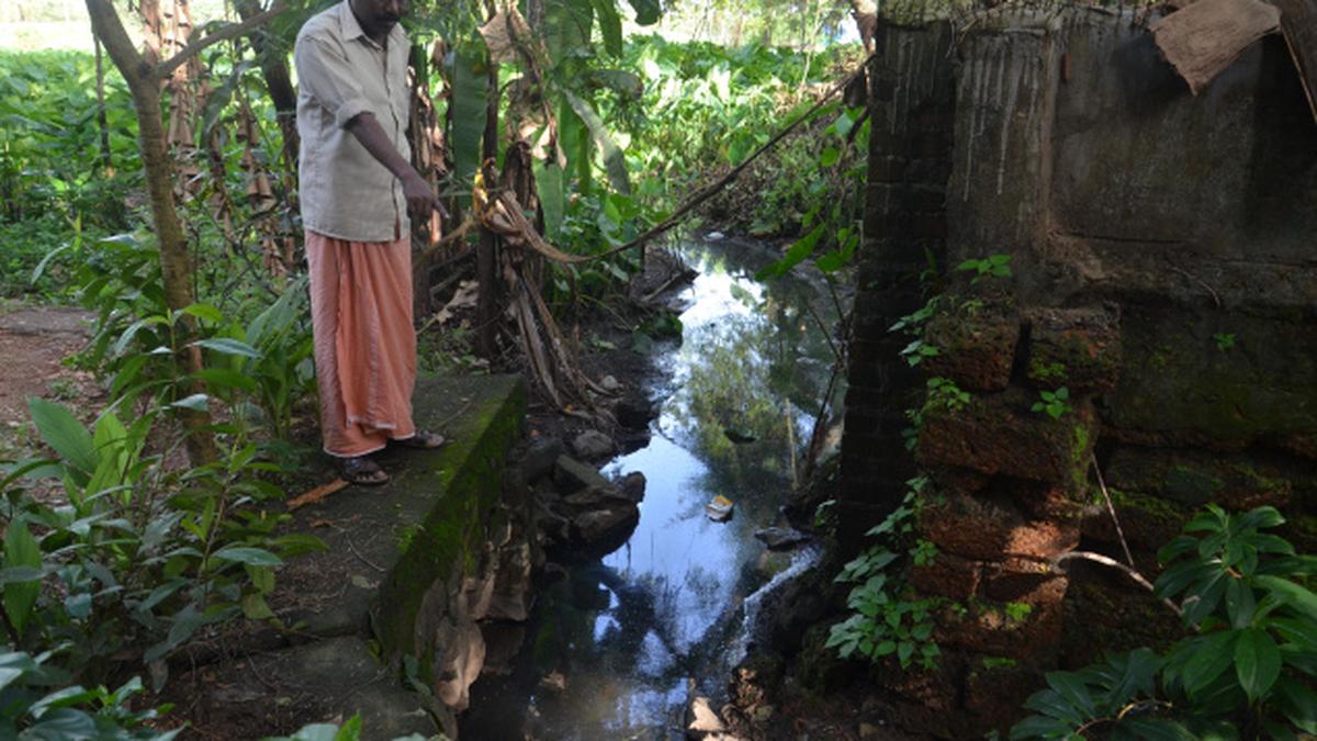Stench from market makes life unbearable for residents - The Hindu