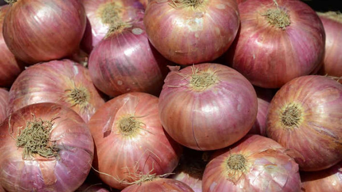 Onion prices jump to Rs 80/kg again - The Hindu