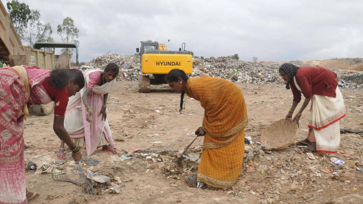 Condemned to live with the city's stench - The Hindu