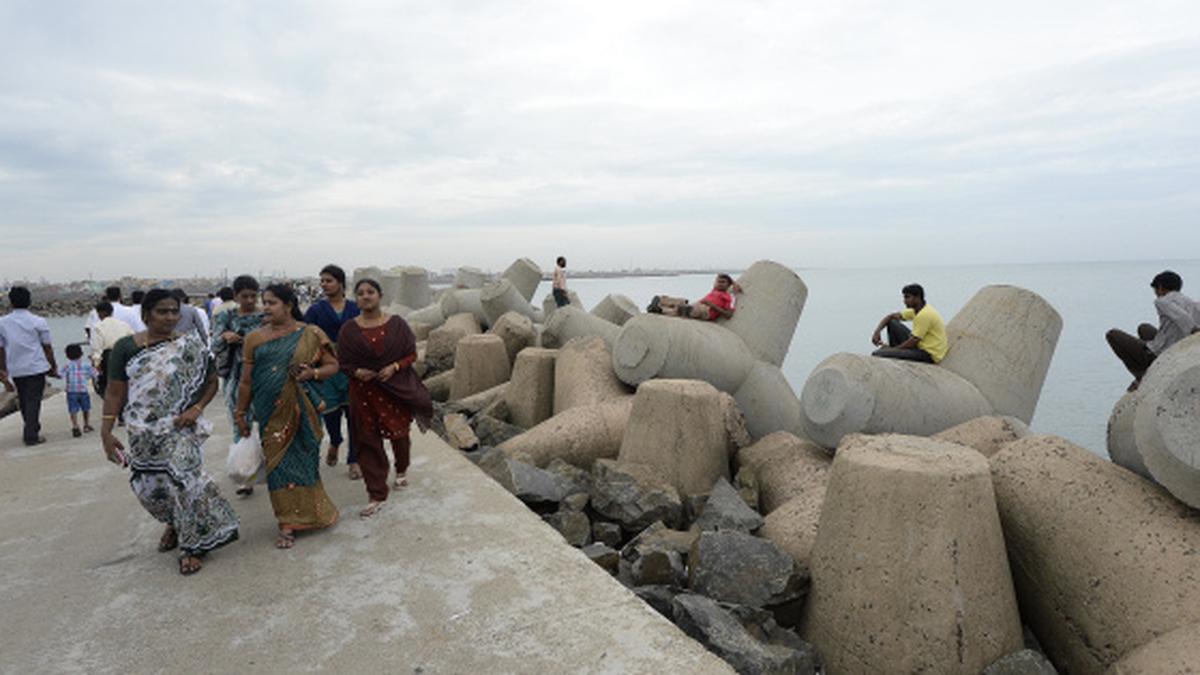 Kasimedu beach: a drive into the sea - The Hindu