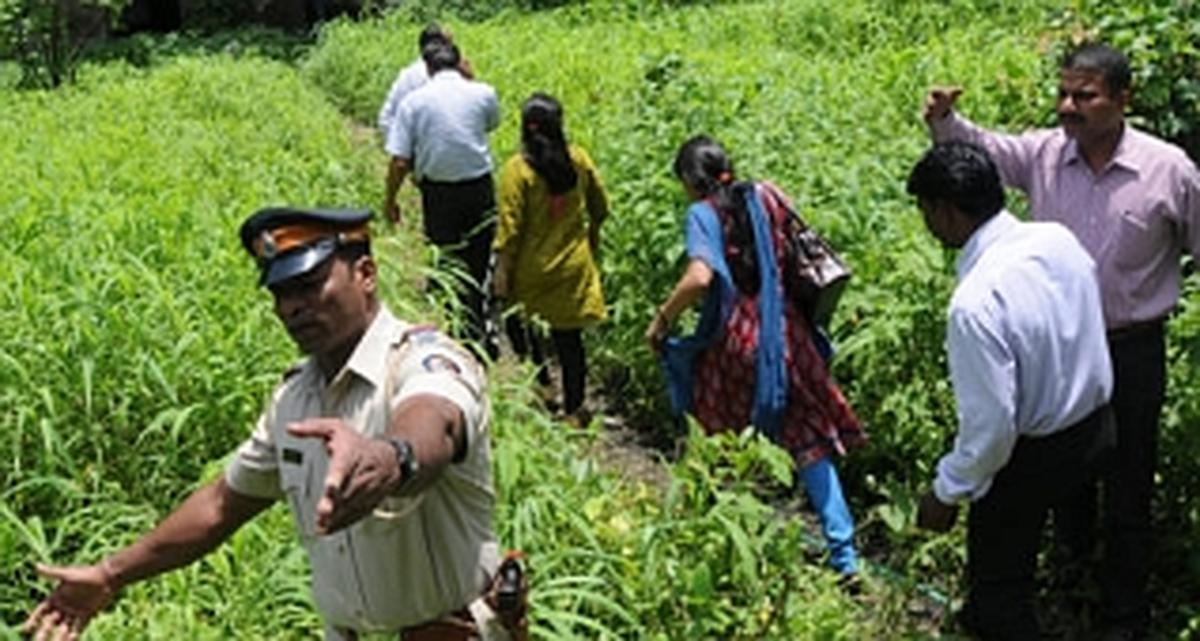 How vulnerable our States and urban centres are to the crime of rape ...