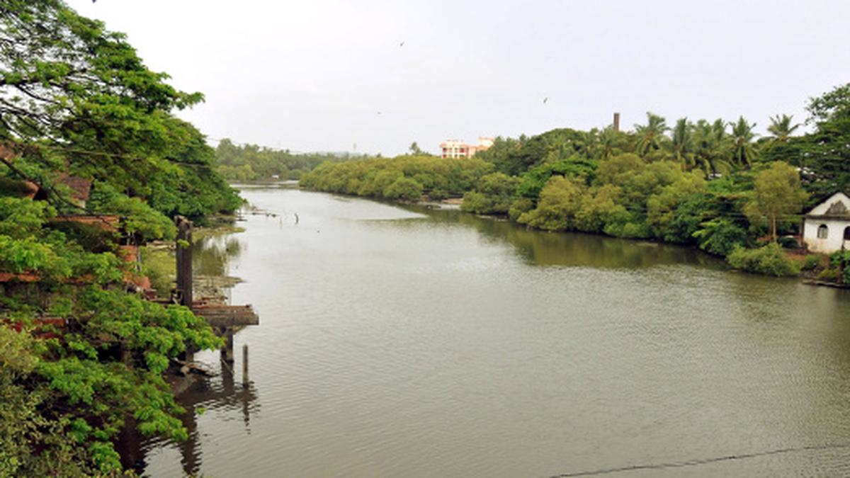 A river cries out - The Hindu