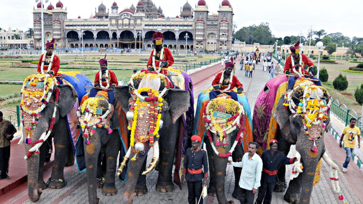 Rousing reception to Dasara elephants - The Hindu