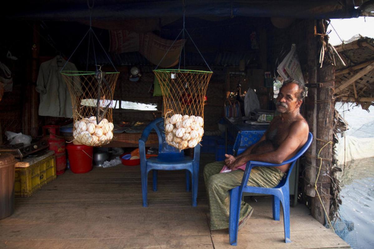 Photo File: Waddling along in Kuttanad - The Hindu