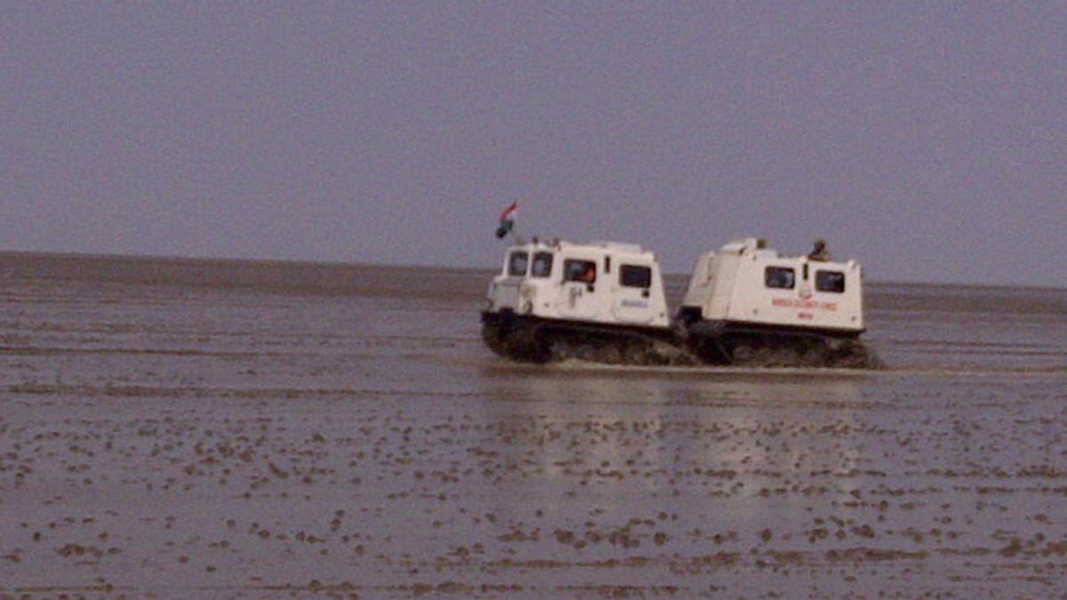 In Rann of Kutch, BSF rides high on unique vehicles - The Hindu