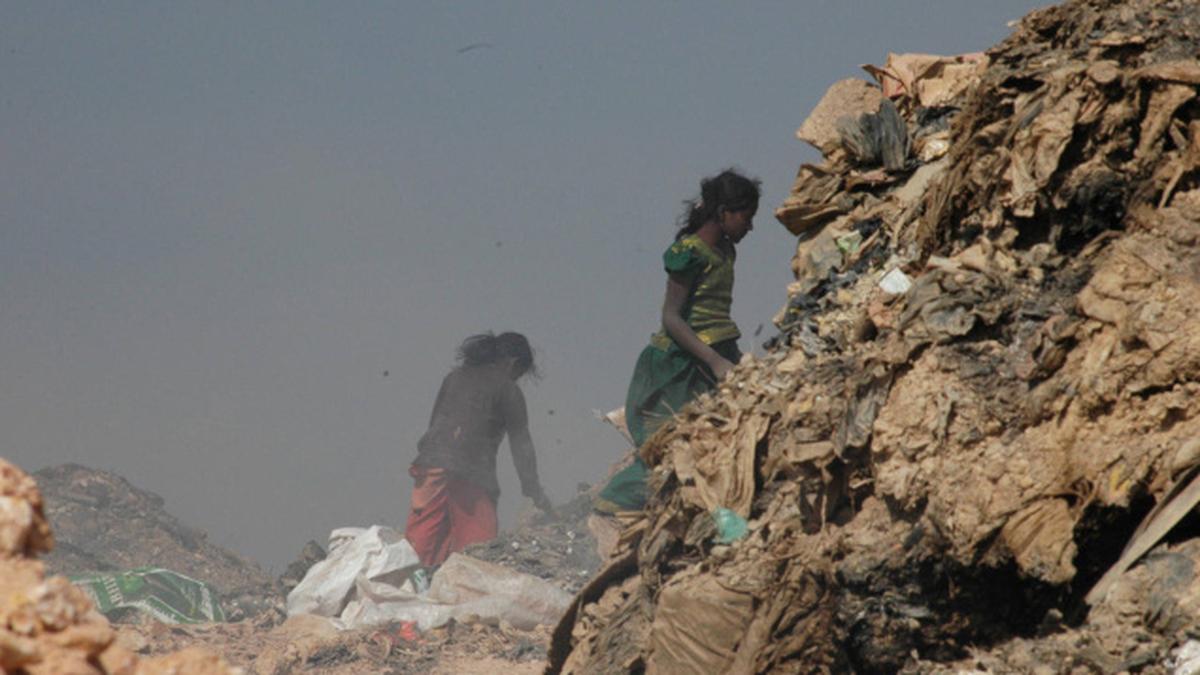 Mandur processing unit ready for trial run - The Hindu